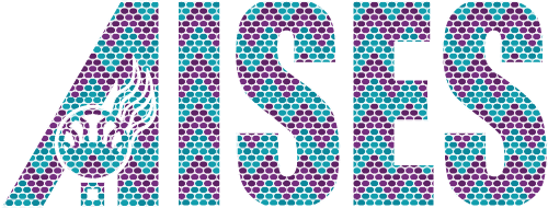 2024 AISES National Conference | Data Science Academy